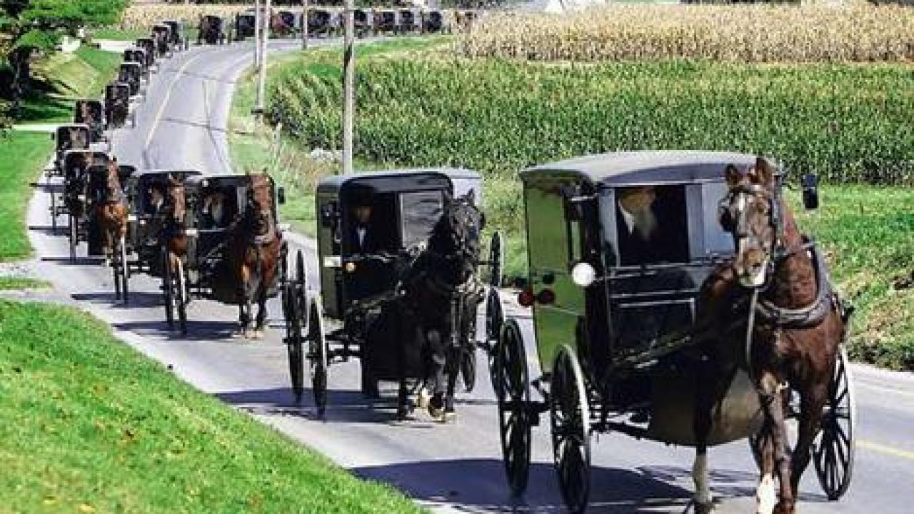 Breaking Amish Death